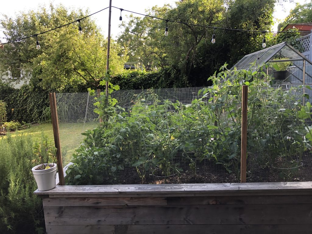 DIY Garden Fence (for under $30) - Season & Serve